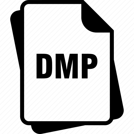 DMP File